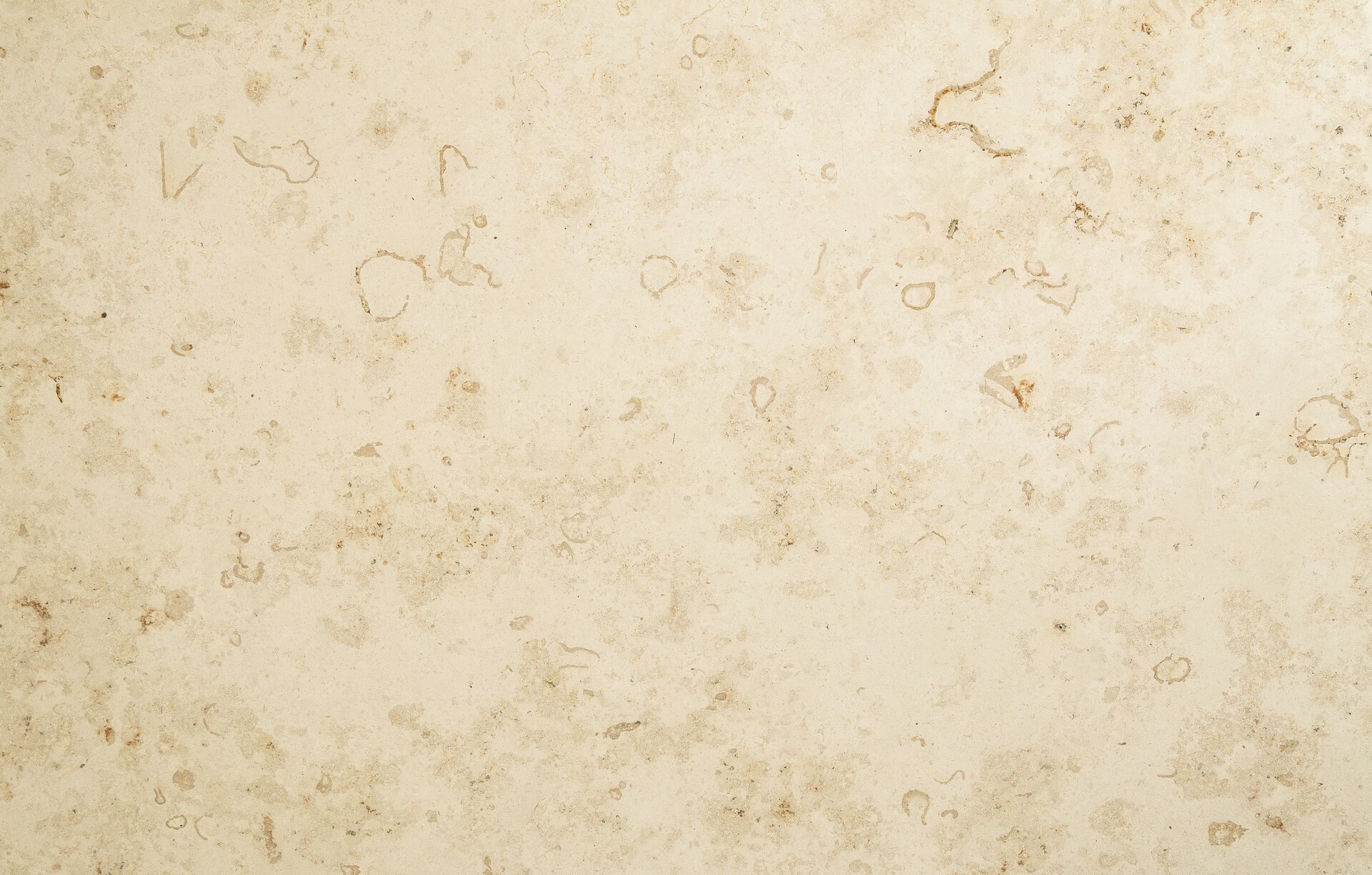 Piedra Jura Beige – Canteras del Mundo